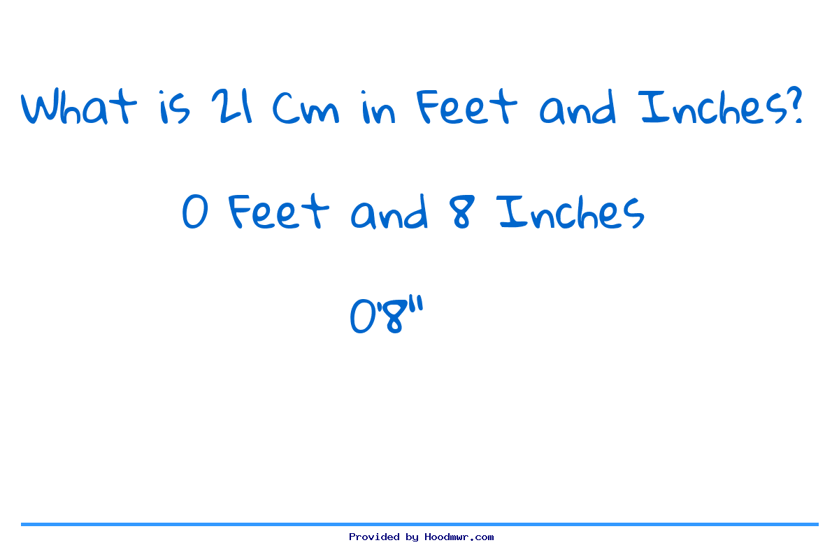 What Is 21 CM In Feet And Inches 
