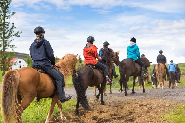 15 Equestrian Places to Go Horseback Riding Near Military Base