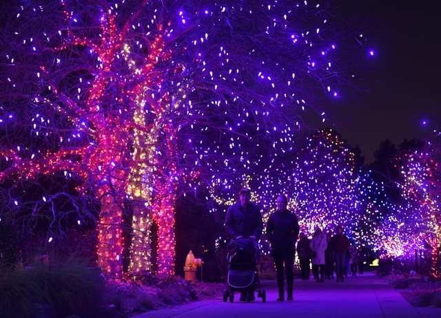The 30 Christmas Light Displays in America