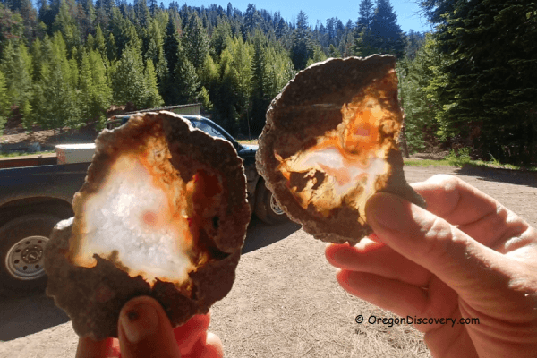 Thundereggs in Oregon: Benefits, Value, Where & How to Find?