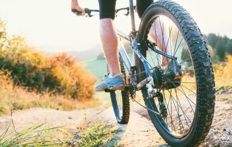 Bike Tire Size Charts for Mountain, Fat and Road Bikes - Hood MWR