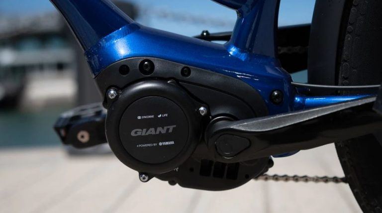 Specialized bicycle serial number decoder - shedmens