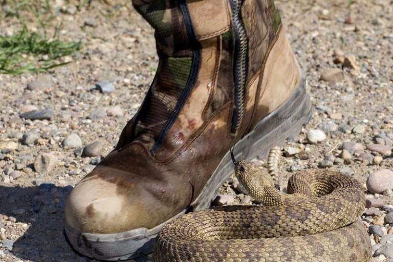Snake Boots: Things to Consider Before Buying Snake Proof Boots - Hood MWR