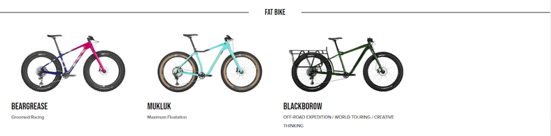Salsa Bikes Complete Brand Overview - Hood MWR