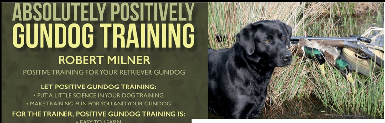 Good Hunting Dog Training Books That You'll Love - Hood MWR