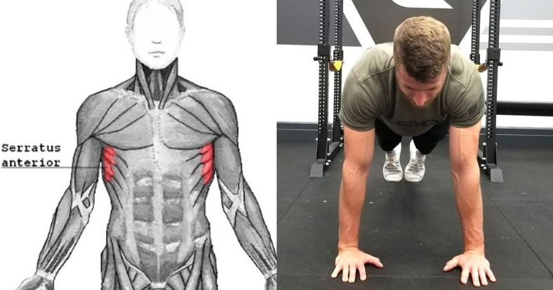 8 Simple Exercises to Strengthen your Serratus Anterior - Hood MWR