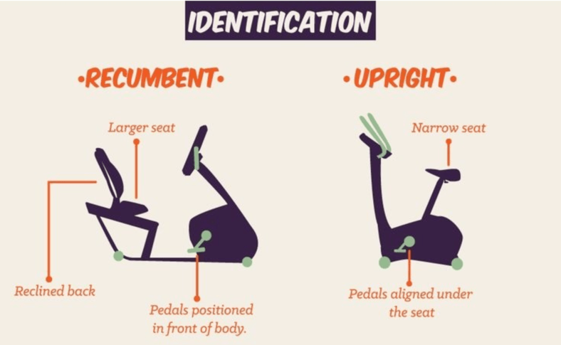 Recumbent Bike VS Upright Bike: Main Differences, Speed, Benefits ...