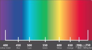 Color Mixing Guide: What Color Does Red And Green Make? - Hood MWR