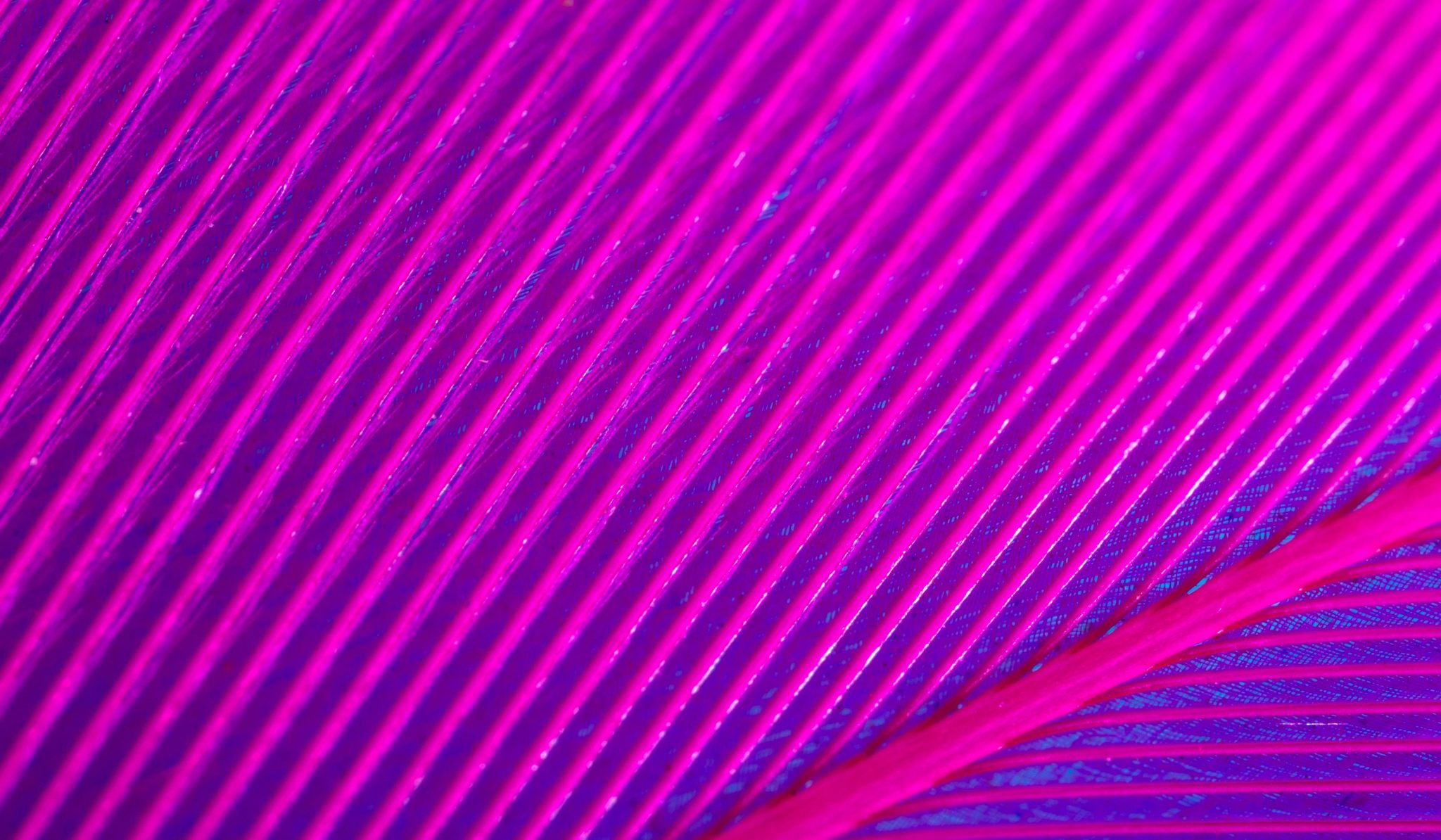 What Color Pink and Purple Make When Mixed? - Hood MWR