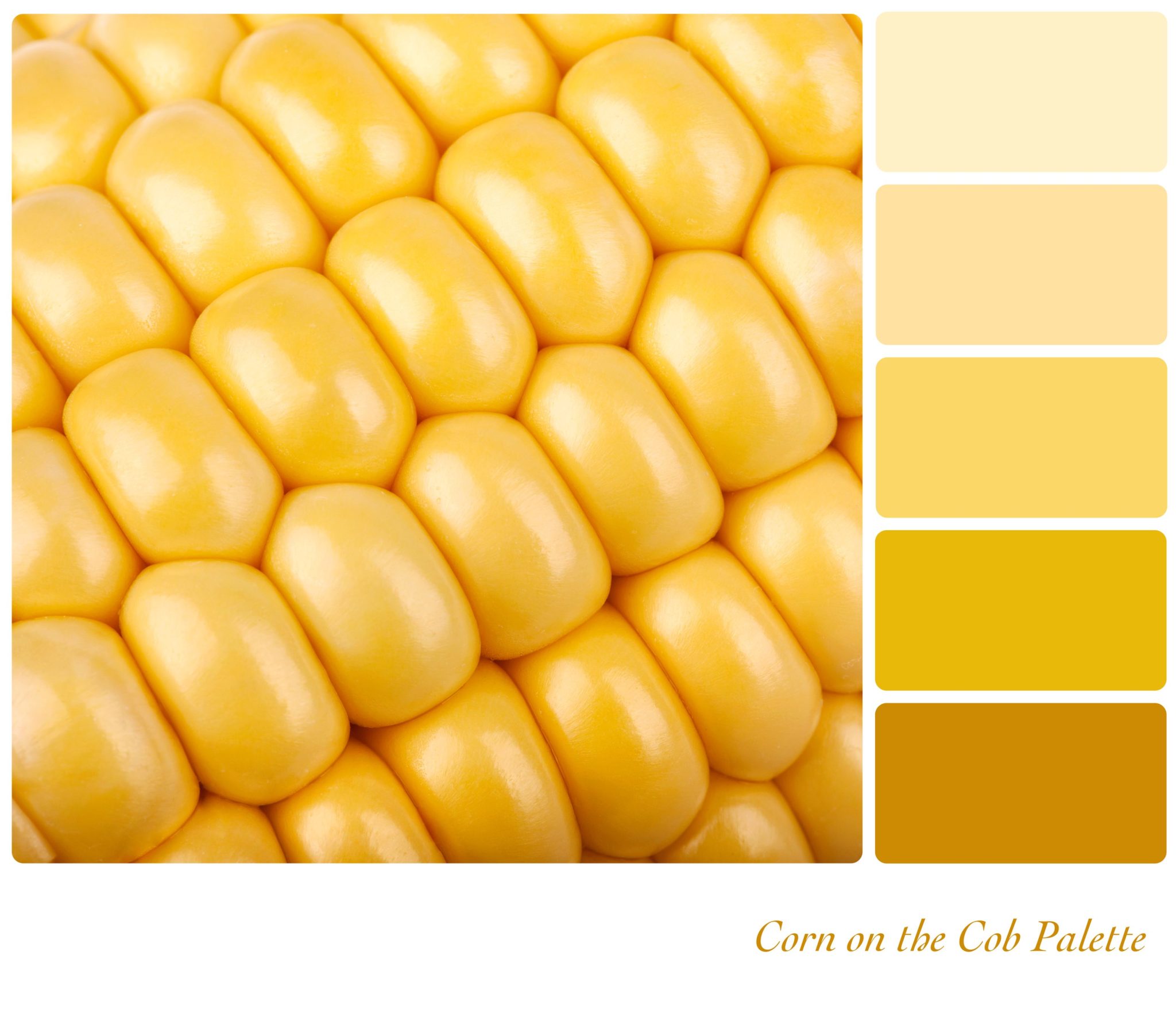 What Color Yellow and White Make when Mixed? - Hood MWR