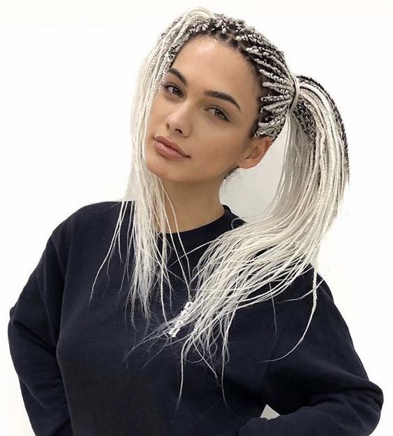10 Awesome Ideas Of Invisible Micro Braids Hairstyle 2022 - Hood MWR