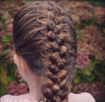 25 Great Dragon Braid Hairstyles - Hood MWR