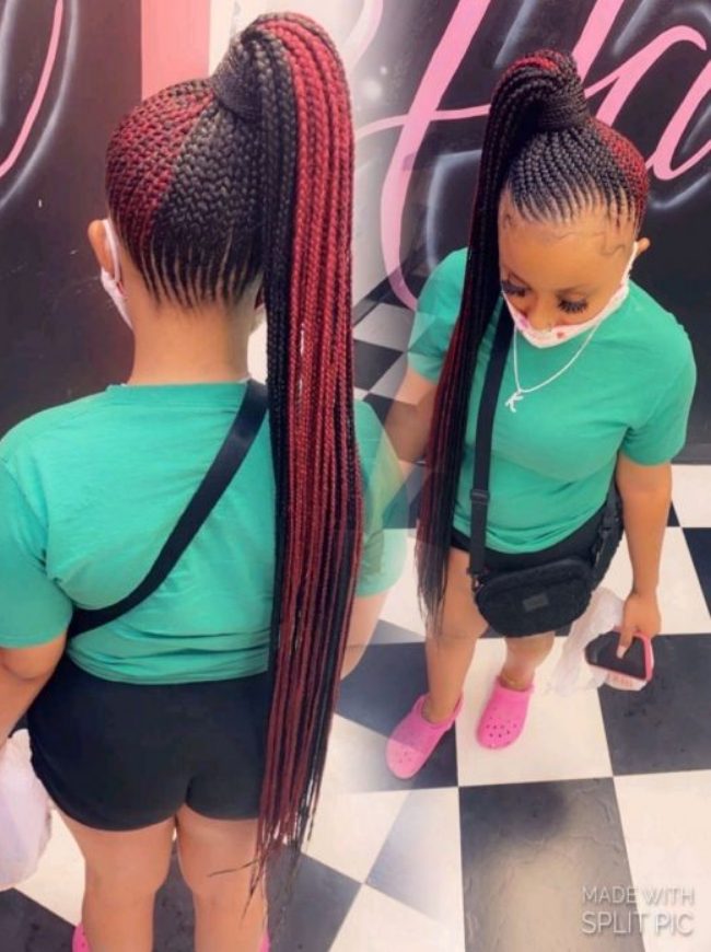 15 Braided Ponytail With Weave Hairstyle For Women 2022 - Hood MWR