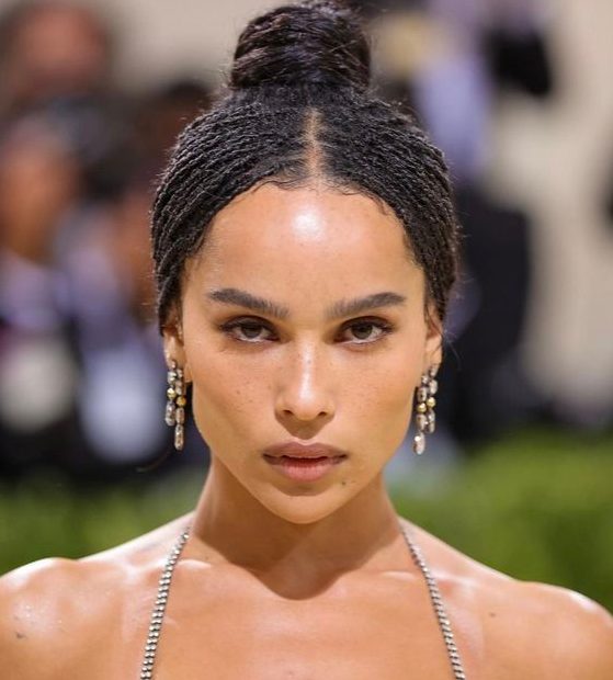 8 Classic Braids Hairstyle Of Zoe Kravitz - Hood MWR