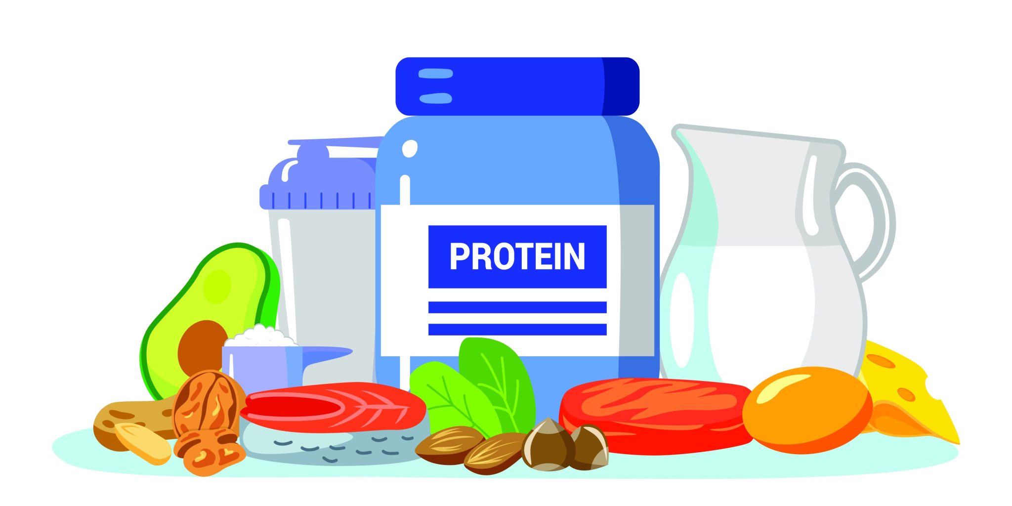 Daily Protein Intake Calculator
