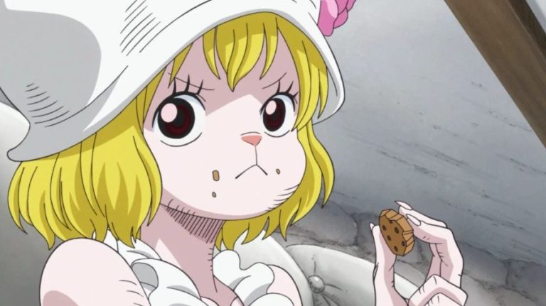 Top 50 Best One Piece Female Characters Hood Mwr