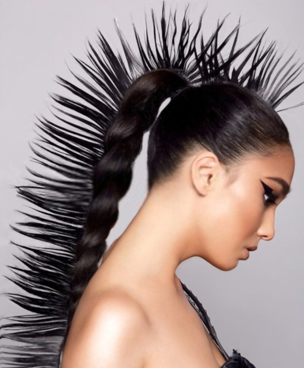 50 Mohawk Braids Hairstyles ideas - Hood MWR