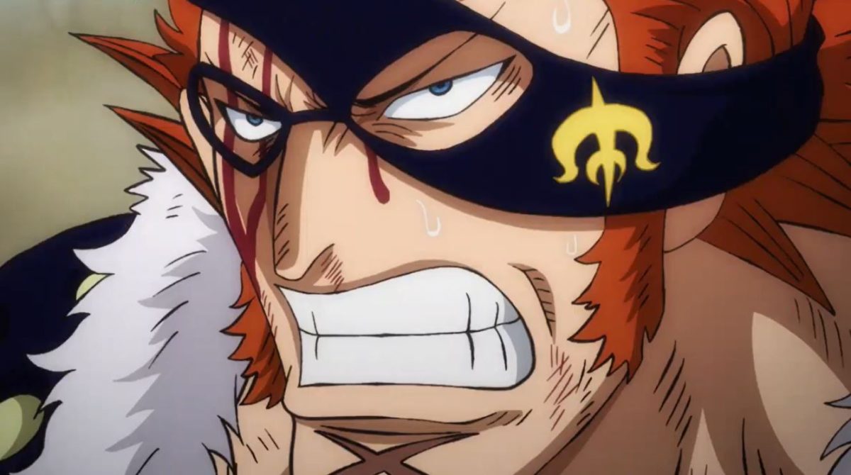 Top 50 Greatest Characters From One Piece - Hood MWR
