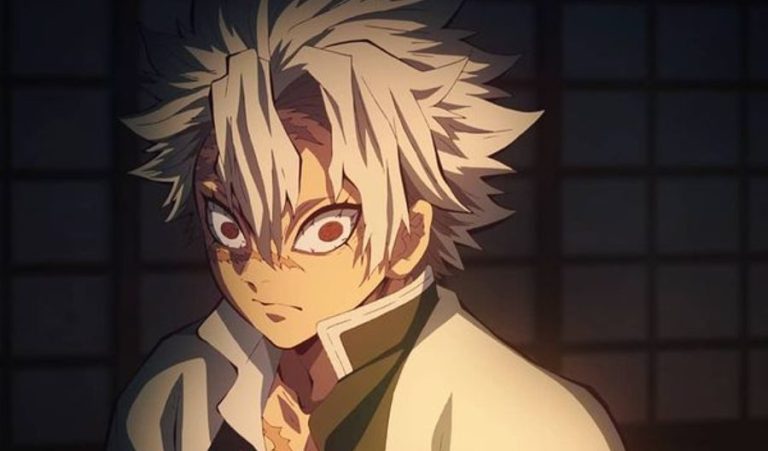 50 Most Popular Demon Slayer Characters - Hood MWR