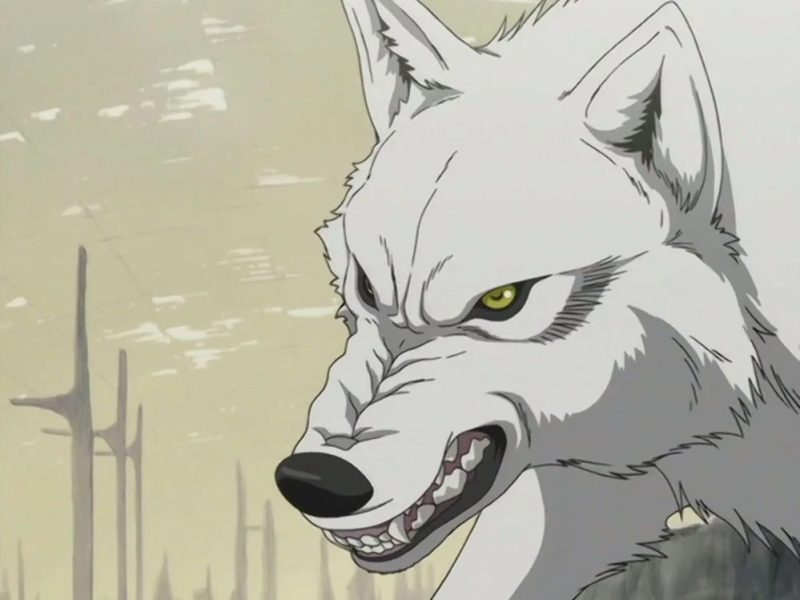 50 Best Human Wolf Hybrid Characters in Anime