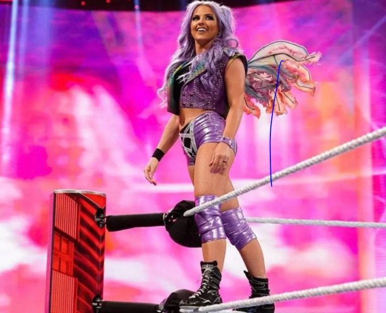 50 Most Beautiful Female Wrestlers In The World - Hood MWR