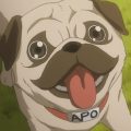 Top 50 Cutest Anime Dogs of All Time - Hood MWR