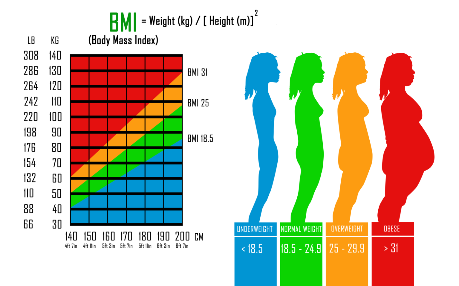 Ideal Weight for 5'3 Female & Male - Hood MWR