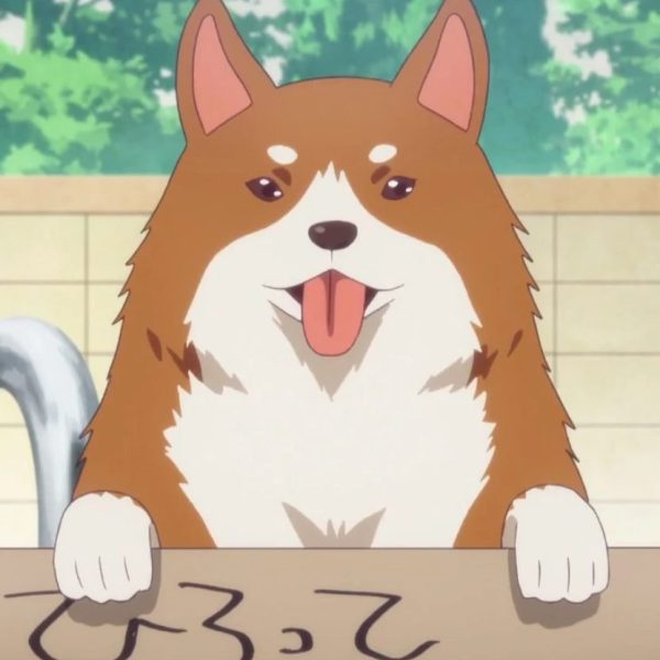 Top 50 Cutest Anime Dogs of All Time - Hood MWR
