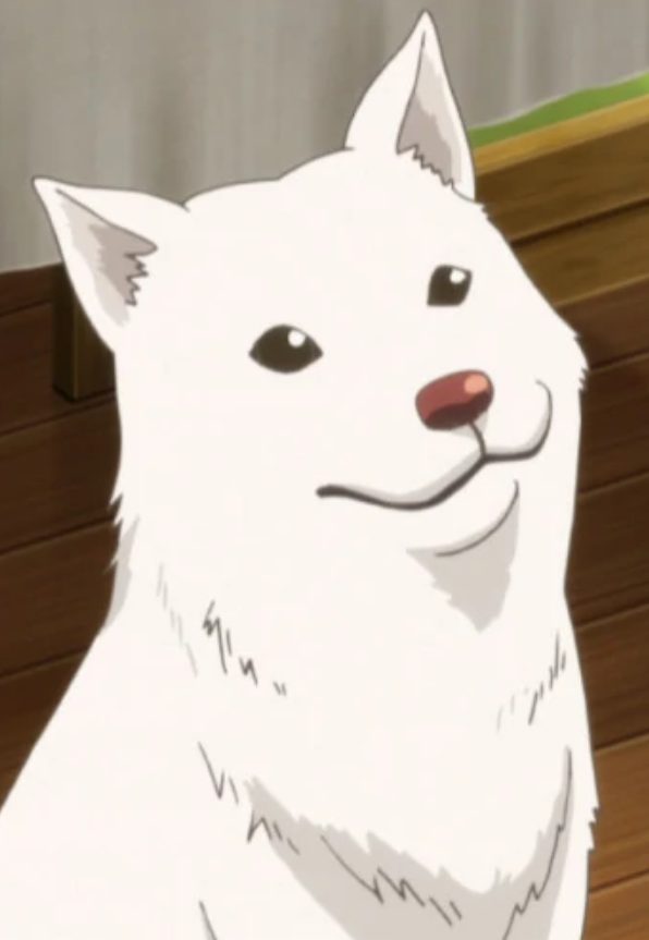 Top 50 Cutest Anime Dogs of All Time - Hood MWR