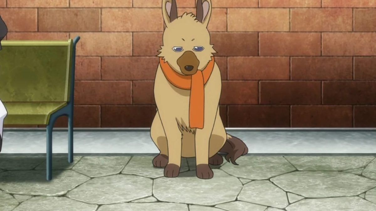 Top 50 Cutest Anime Dogs of All Time - Hood MWR