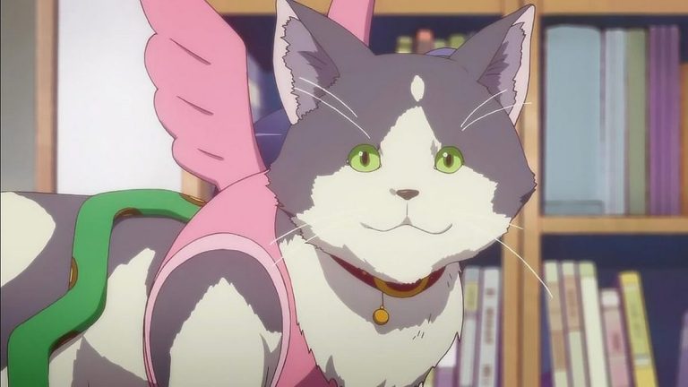 50 Most Popular Anime Cat Characters of All Time - Hood MWR