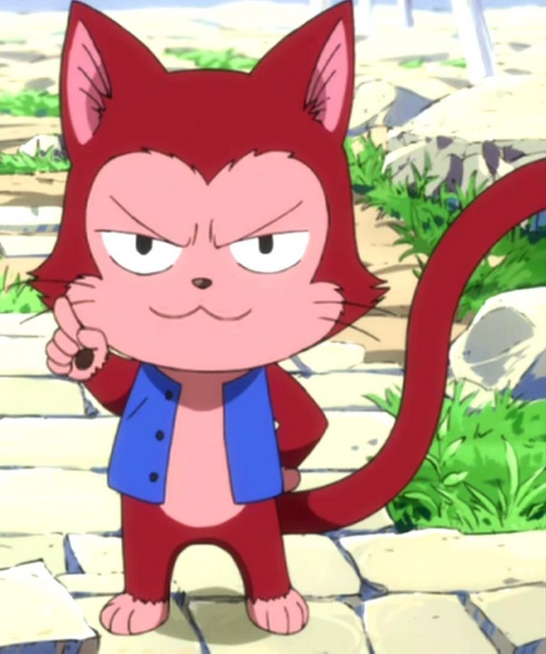 50 Most Popular Anime Cat Characters of All Time - Hood MWR