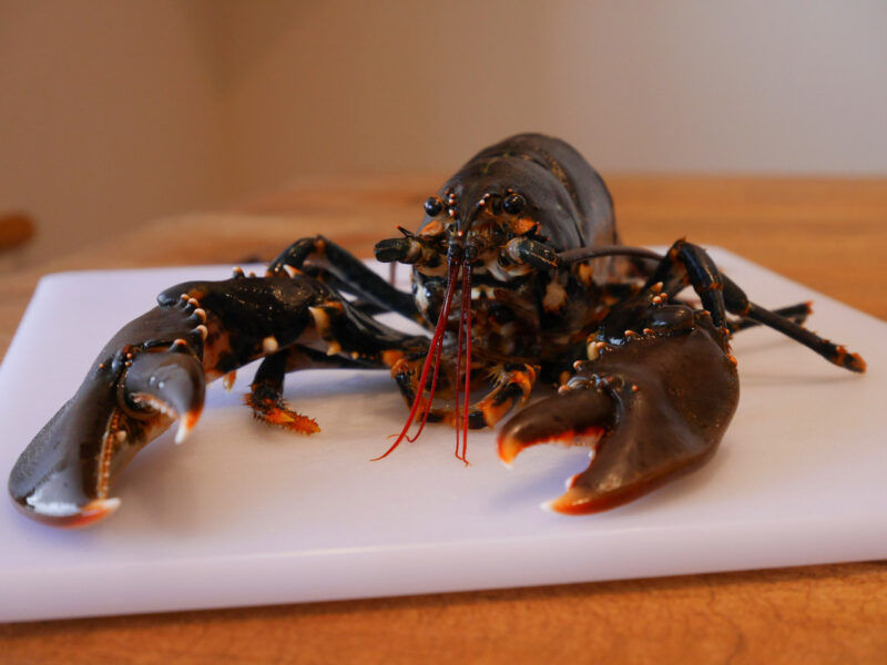 Top 50 Most Expensive Foods Ranked by Price