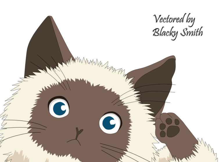 50 Most Popular Anime Cat Characters of All Time - Hood MWR