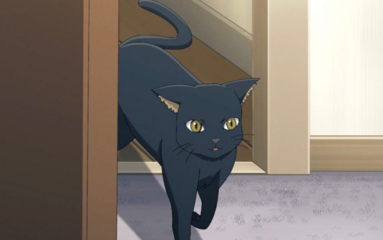 50 Most Popular Anime Cat Characters of All Time - Hood MWR