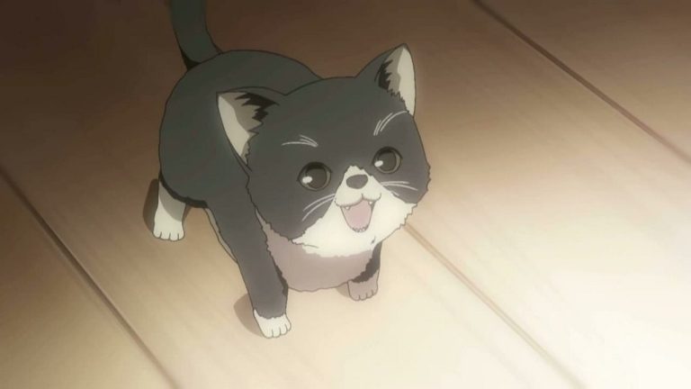 50 Most Popular Anime Cat Characters of All Time - Hood MWR