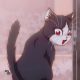 50 Most Popular Anime Cat Characters of All Time - Hood MWR