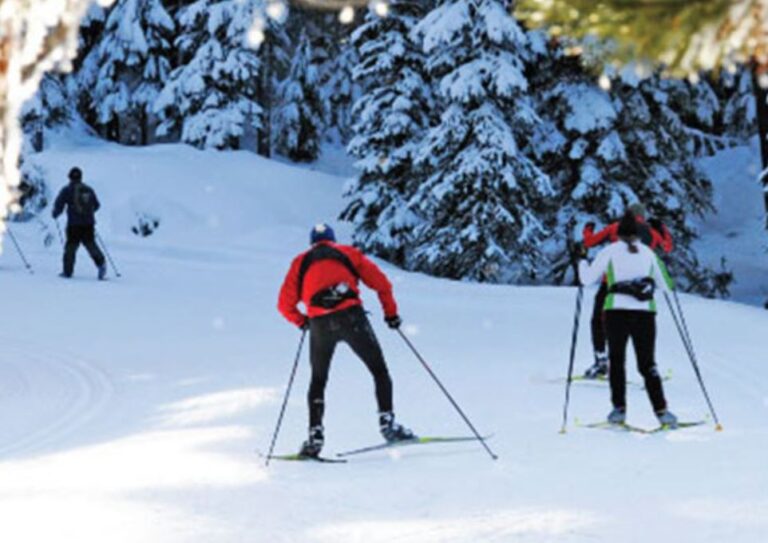 Top Attractions & Things to Do in Mt. Hood National Forest - Hood MWR