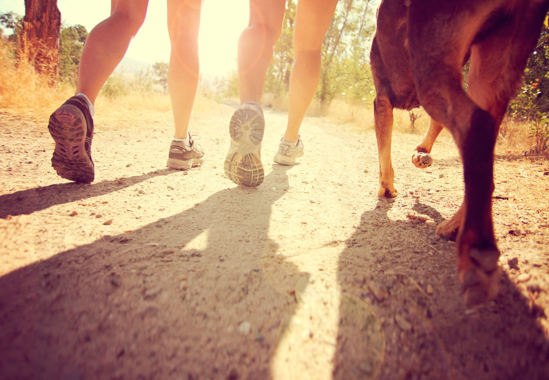 Upper Back Pain When Walking: Definition, Symptoms And Treatments ...