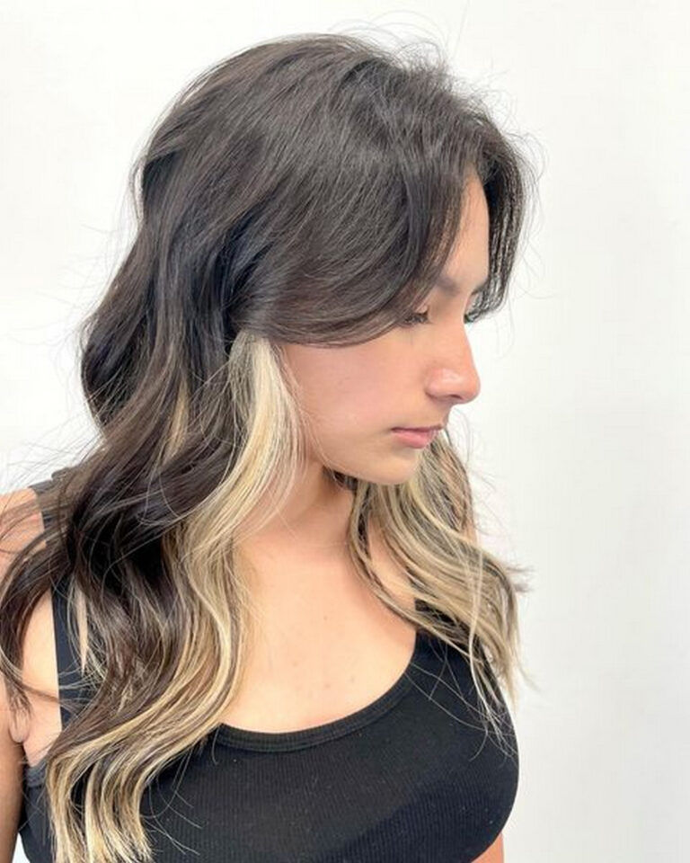 Top 35 Underneath Hair Color Ideas for a Bold Look - Hood MWR