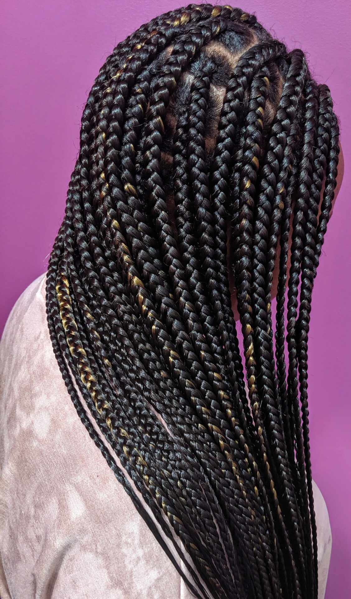 35 Different Types Of Braids & Hairstyles 2023 - Hood MWR