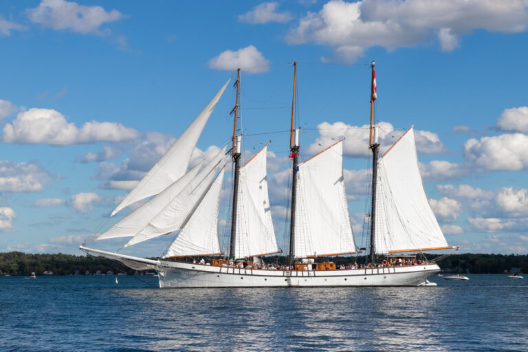 35 Things That Weigh One Ton