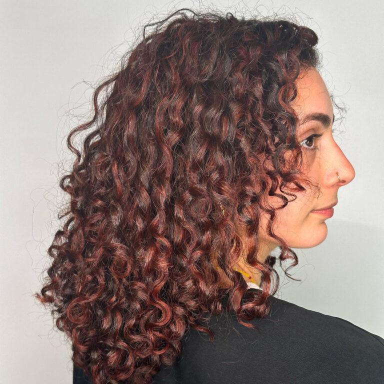 42 Beautiful Curly Hair With Highlights in 2023 - Hood MWR