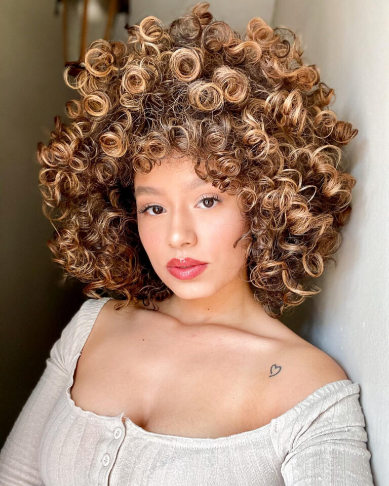 42 Beautiful Curly Hair With Highlights in 2023 - Hood MWR