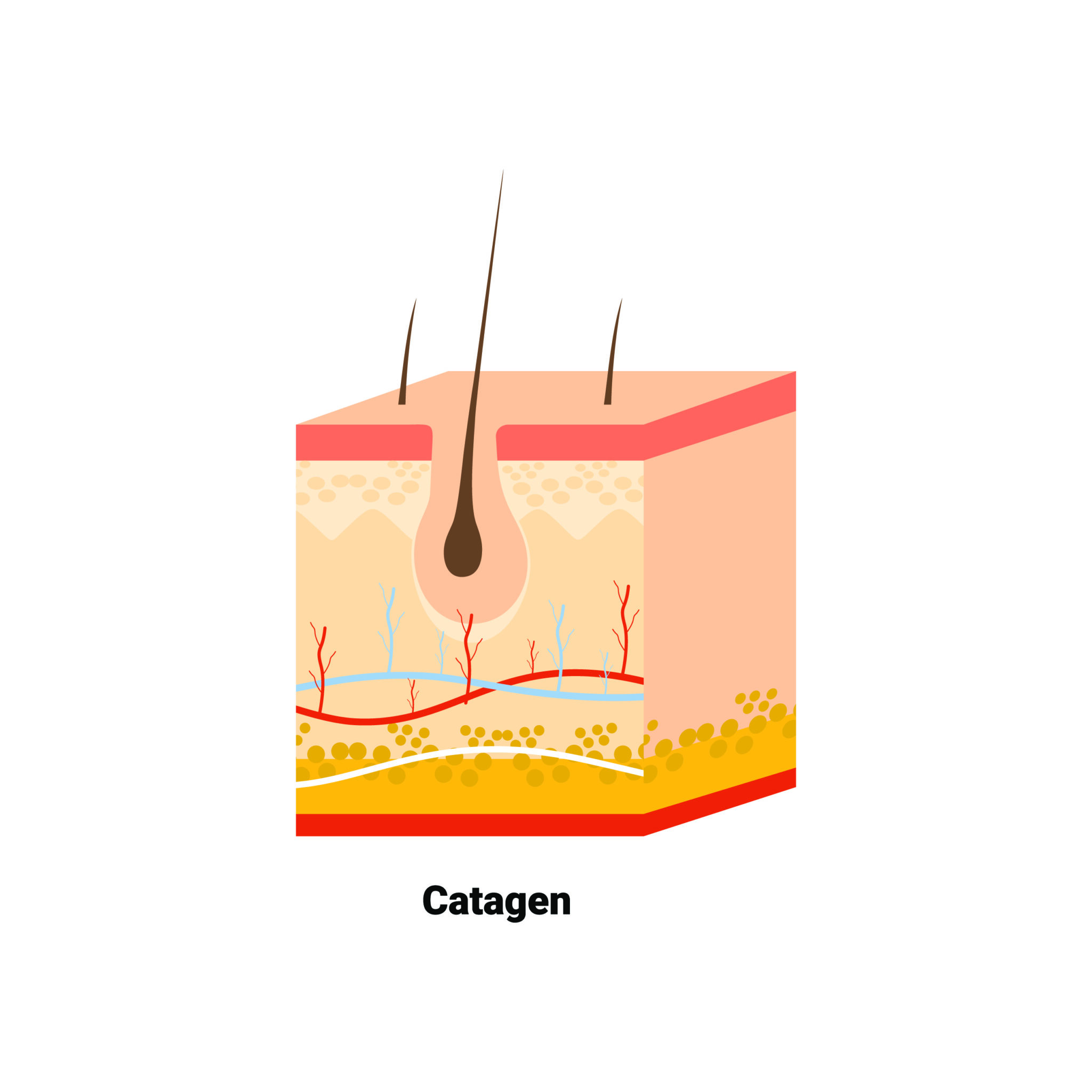 How Long Is Rapunzel’s Hair? Fairy Tale Facts