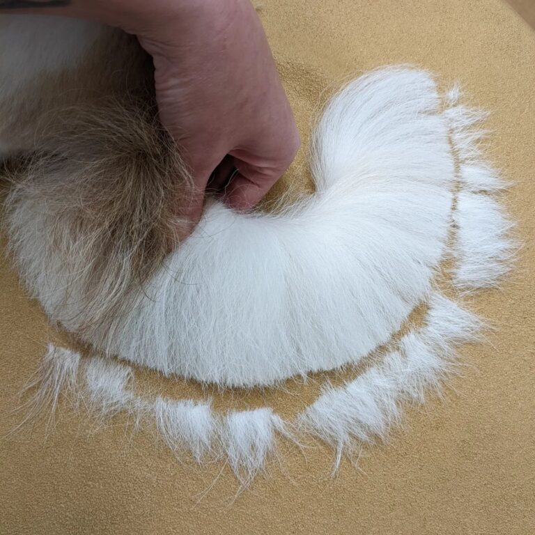 39 Shih Tzu Hairstyles: from Long to Short Haircuts - Hood MWR