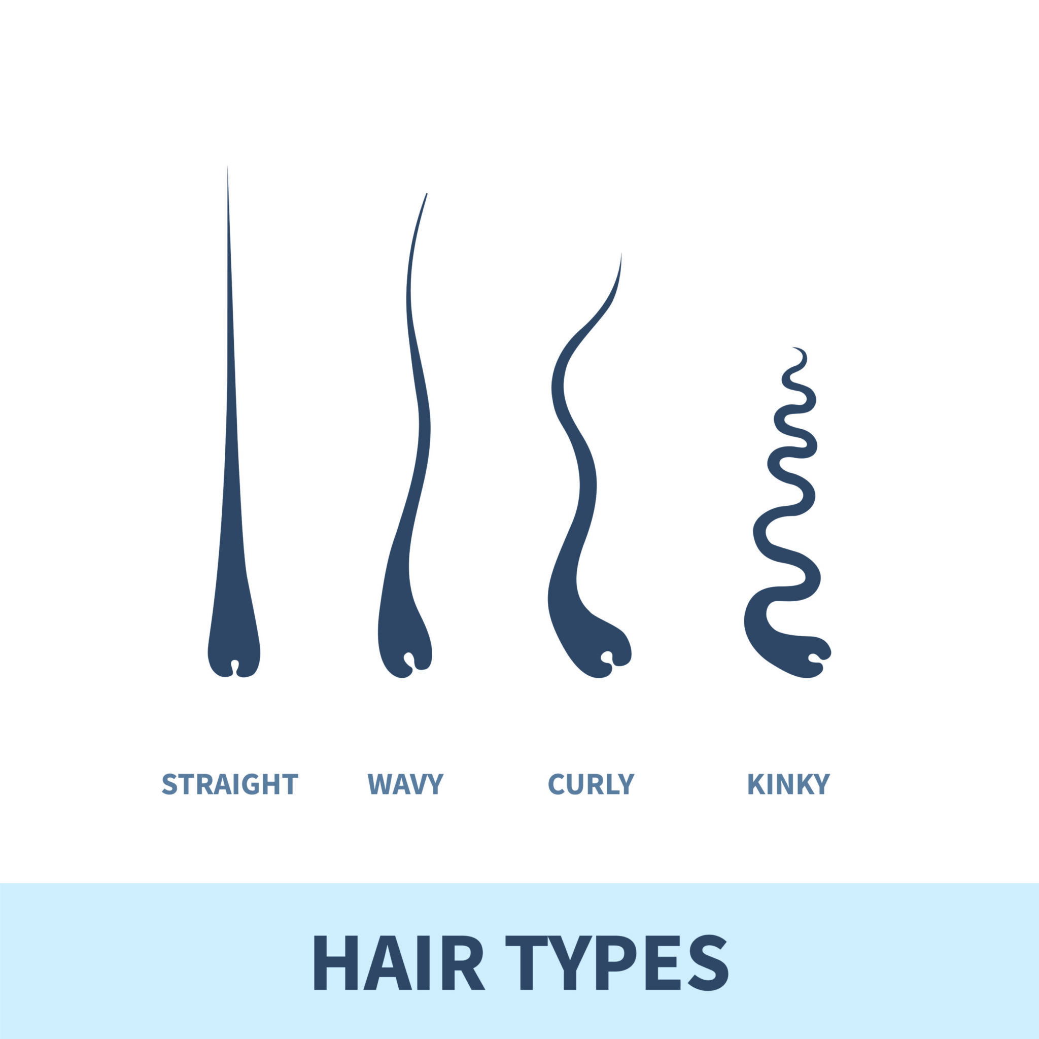 Understanding the Hair Types and Hair Typing Systems - Hood MWR