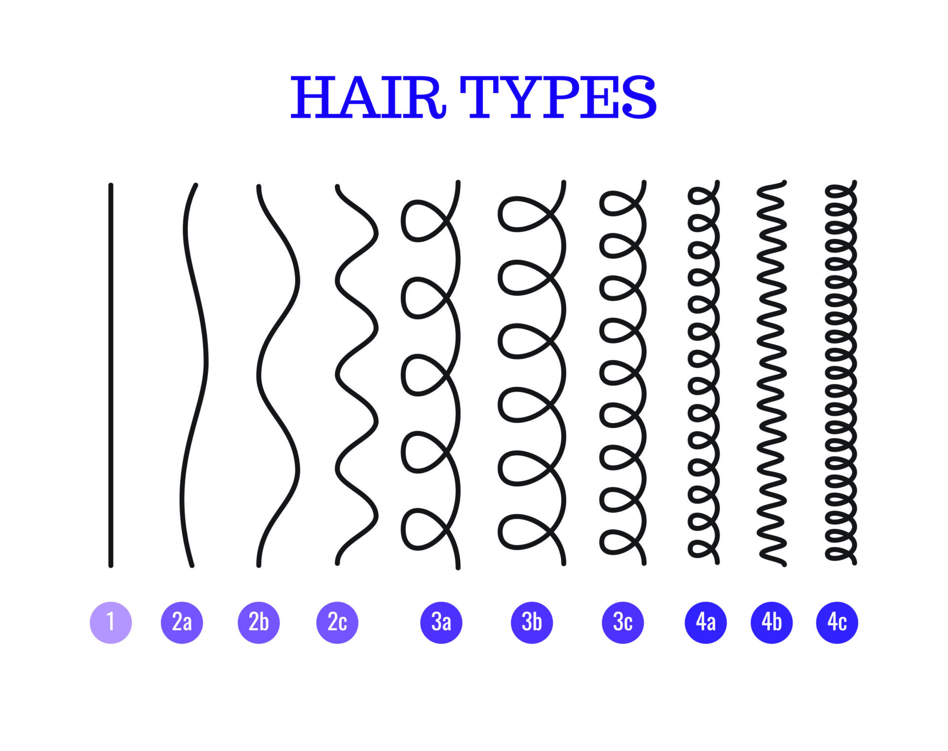 Understanding the Hair Types and Hair Typing Systems - Hood MWR