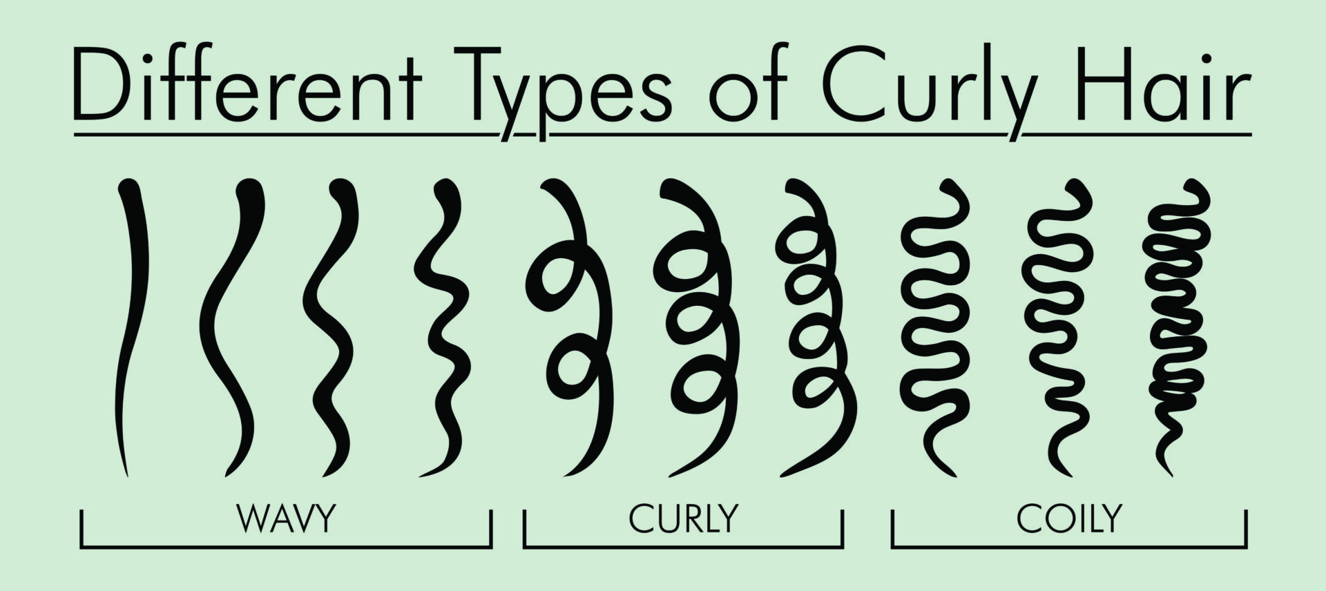 Understanding the Hair Types and Hair Typing Systems - Hood MWR
