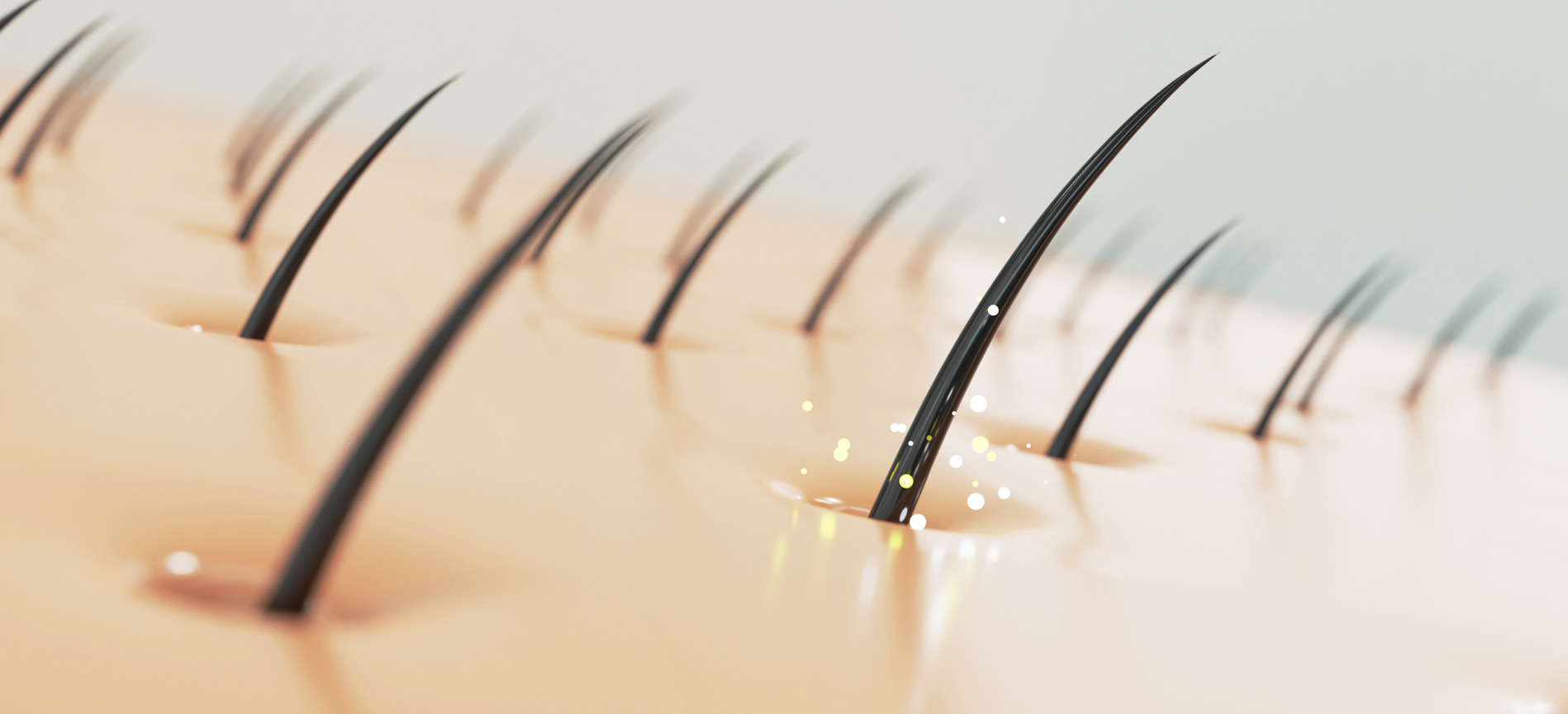 Dawn Dish Soap For Hair Growth - Hood MWR